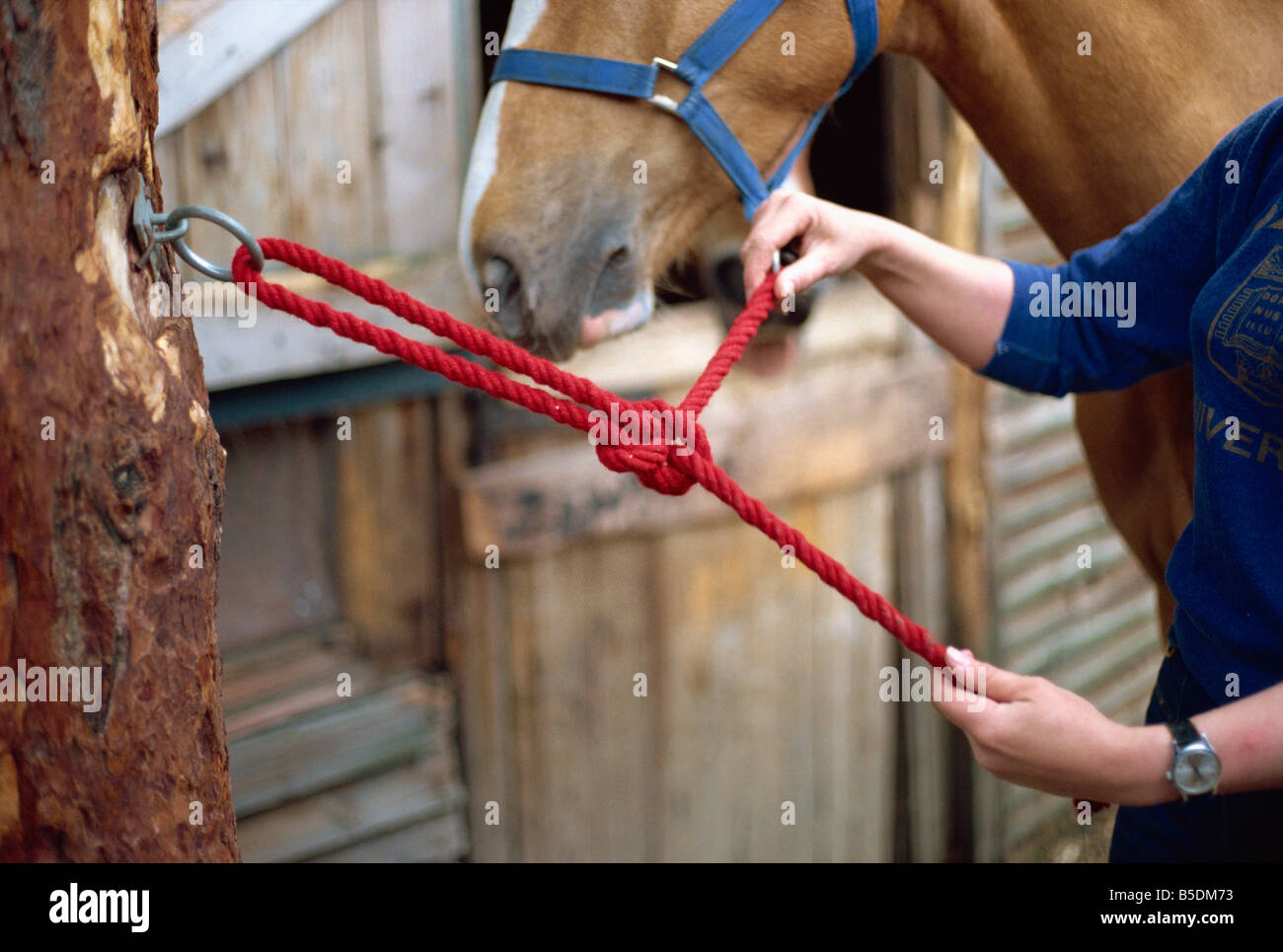 Quick release knot hi-res stock photography and images - Alamy