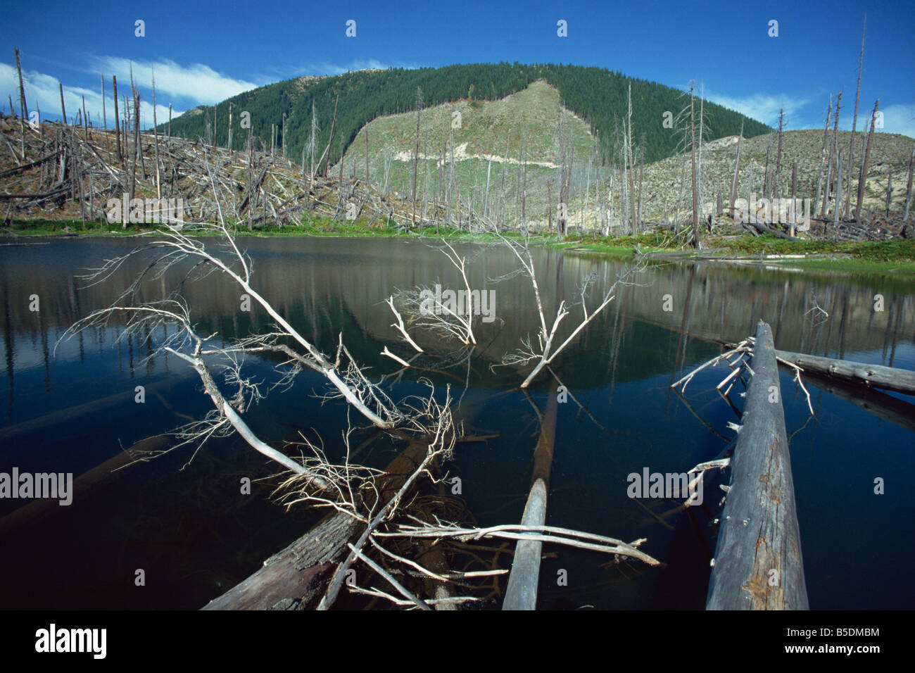 Ryan Lake, Mount St. Helens National Volcanic Monument, Washington ...