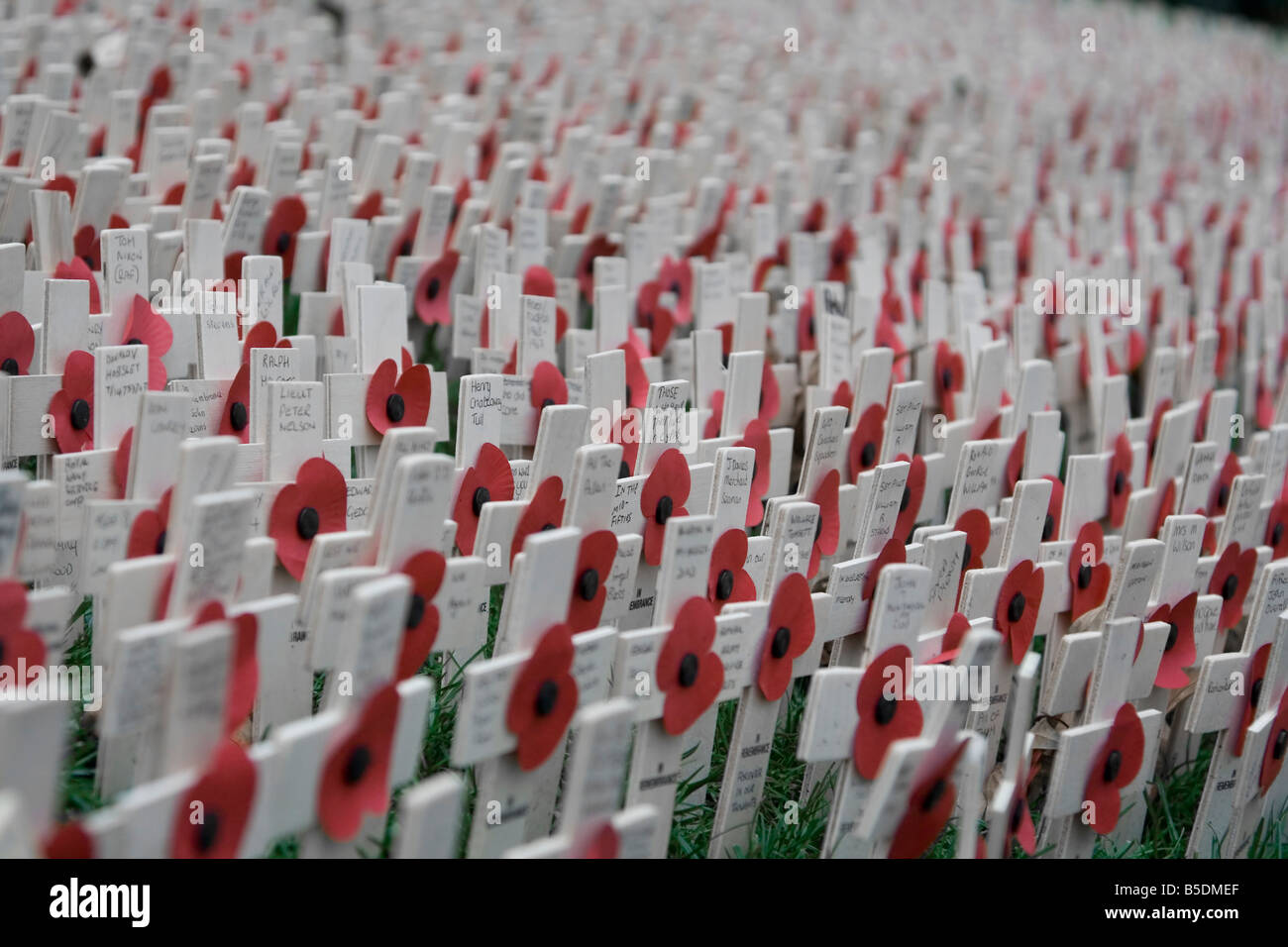 Poppies and crosses outside Westminster Abbey on Armistice Day ...