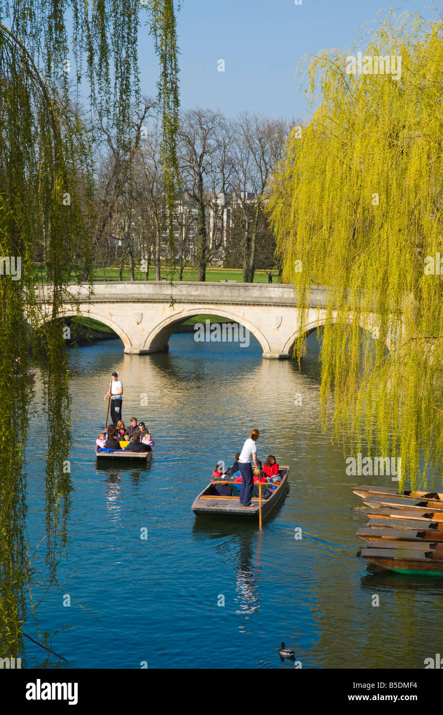 Punts, Cambridge, Cambridgeshire, England, Europe Stock Photo - Alamy