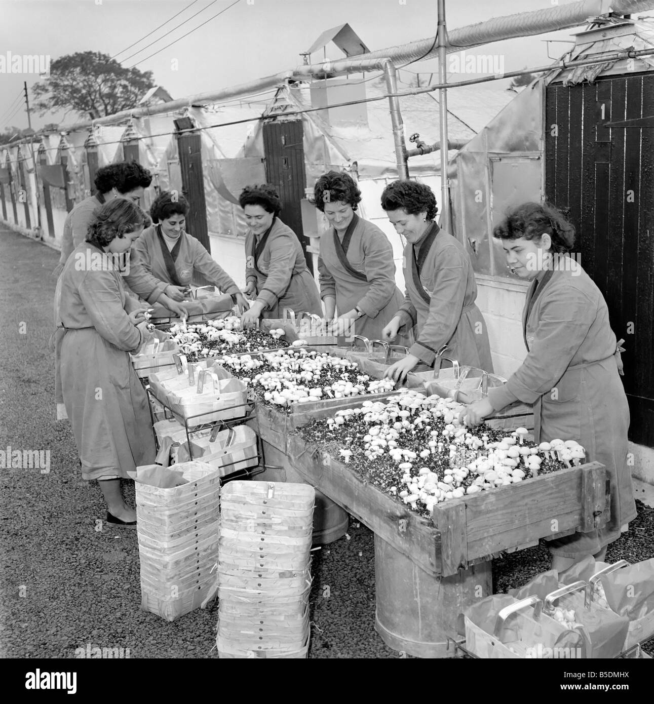 No pickers Black and White Stock Photos & Images - Alamy