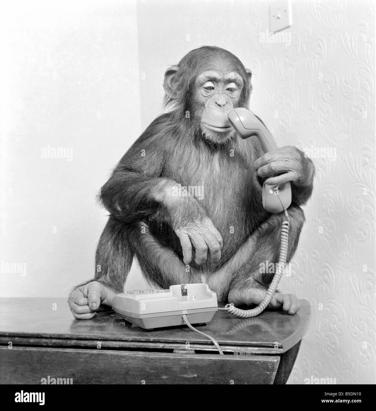 1980s telephone hi-res stock photography and images - Alamy