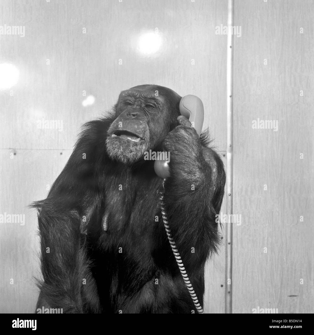 All may have telephones hi-res stock photography and images - Alamy