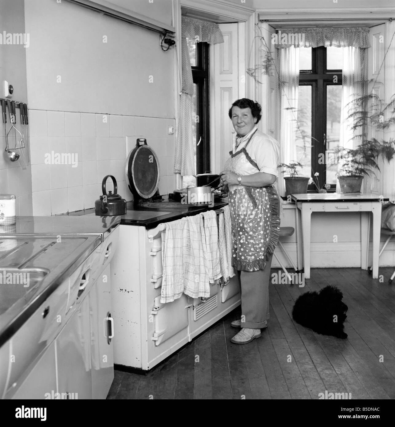 Mrs. Moss in the kitchen cooking. 1954 A145c Stock Photo - Alamy