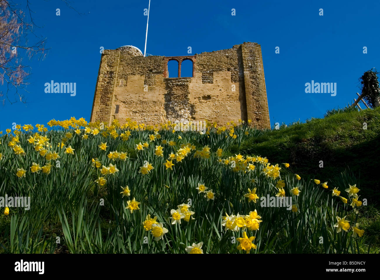 Guildford landmarks hi-res stock photography and images - Alamy