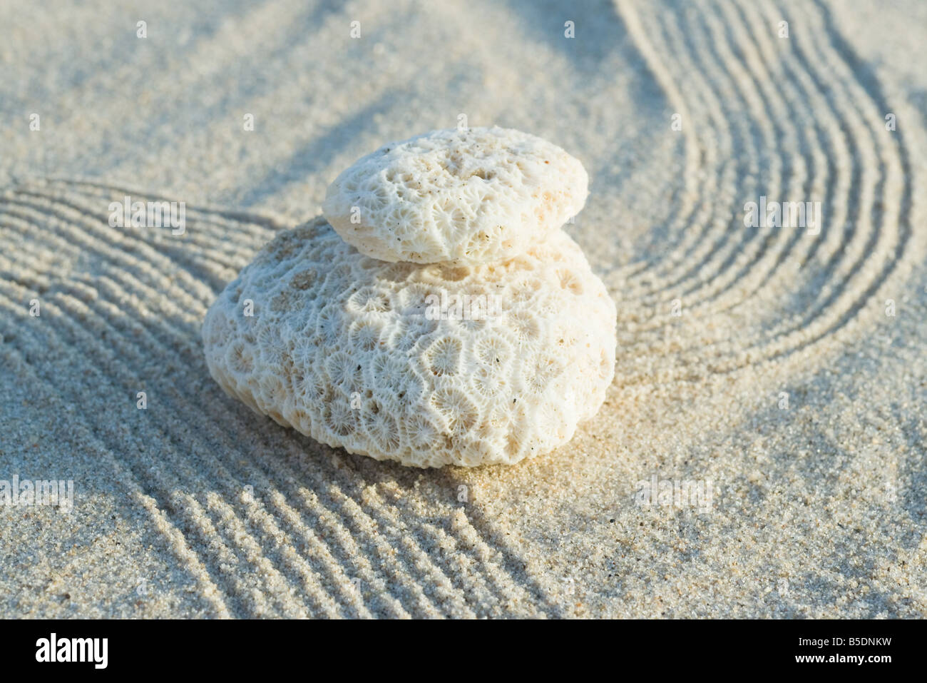Stack of coral on raked sand Stock Photo - Alamy
