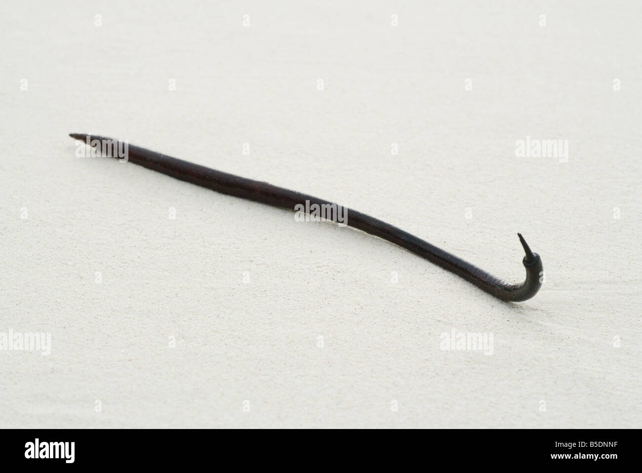 Plain stick hi-res stock photography and images - Alamy