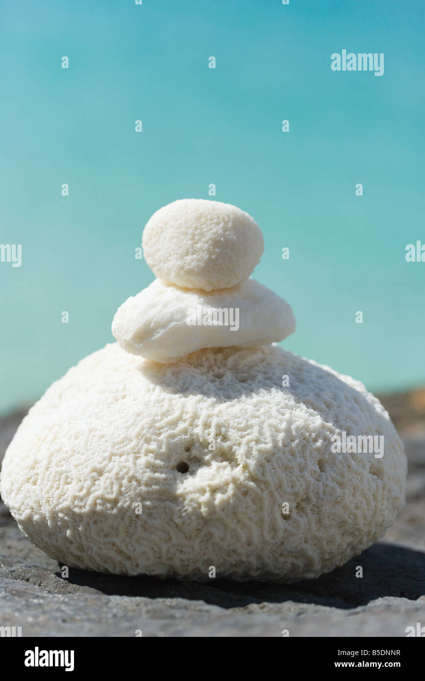 Stack of coral, close-up Stock Photo - Alamy