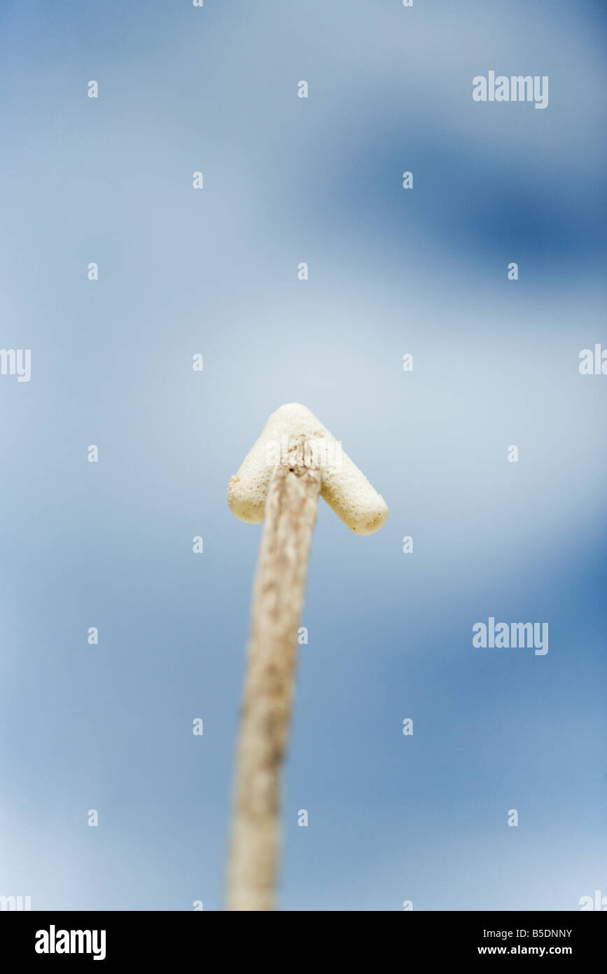 Pointing stick hi-res stock photography and images - Alamy