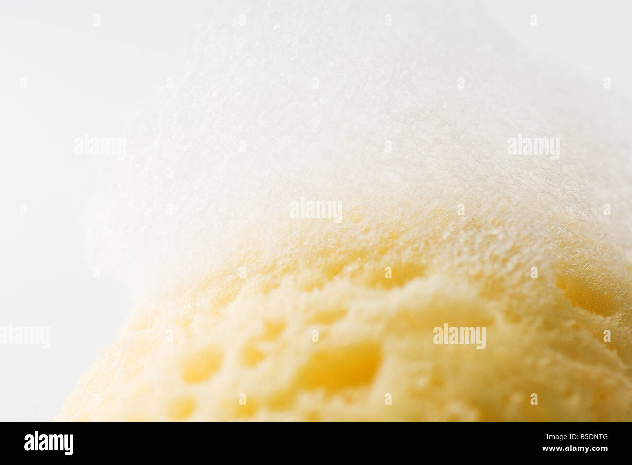 Sponge covered in soap suds, close-up Stock Photo - Alamy