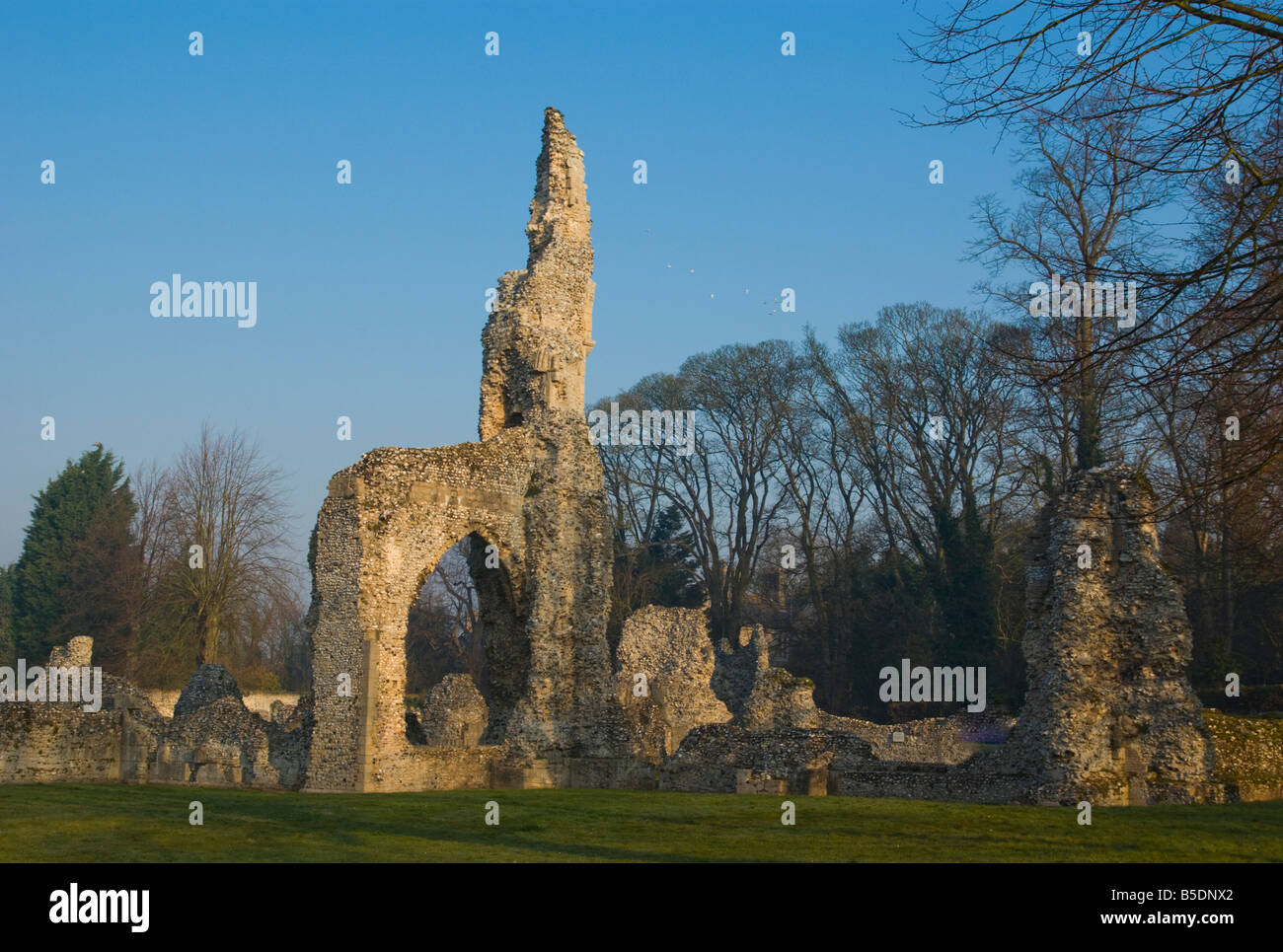 Ruins of Cluniac priory, Thetford, Norfolk, England, Europe Stock Photo ...