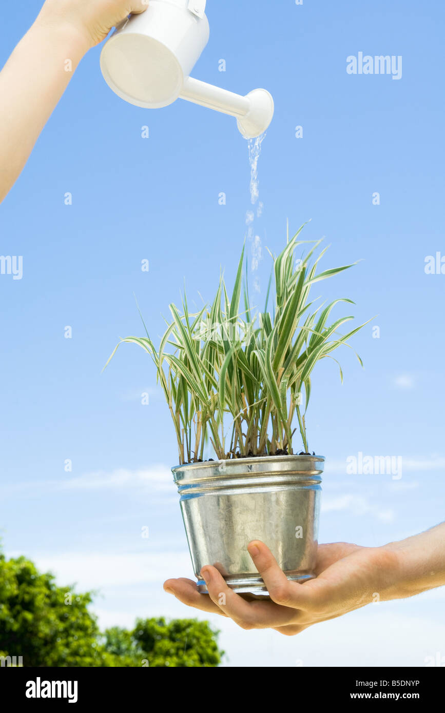 Hand pouring water into another hand hi-res stock photography and ...