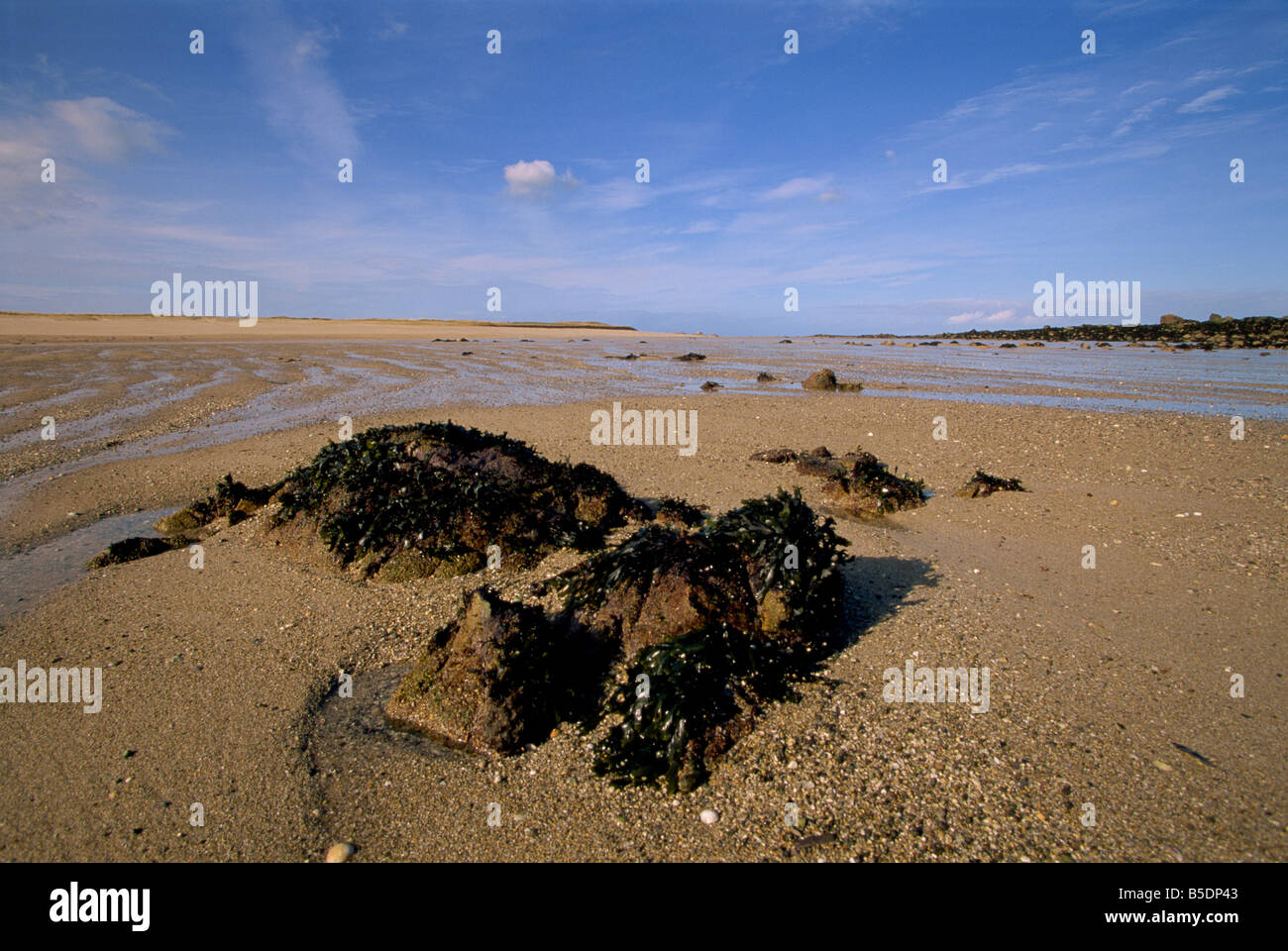 Shell beach herm island channel islands hi-res stock photography and ...