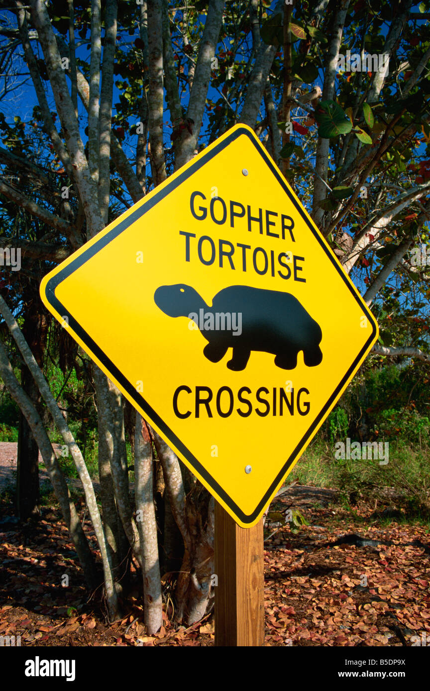 Road warning sign, J. N. Ding Darling Wildlife Refuge, Sanibel Island ...
