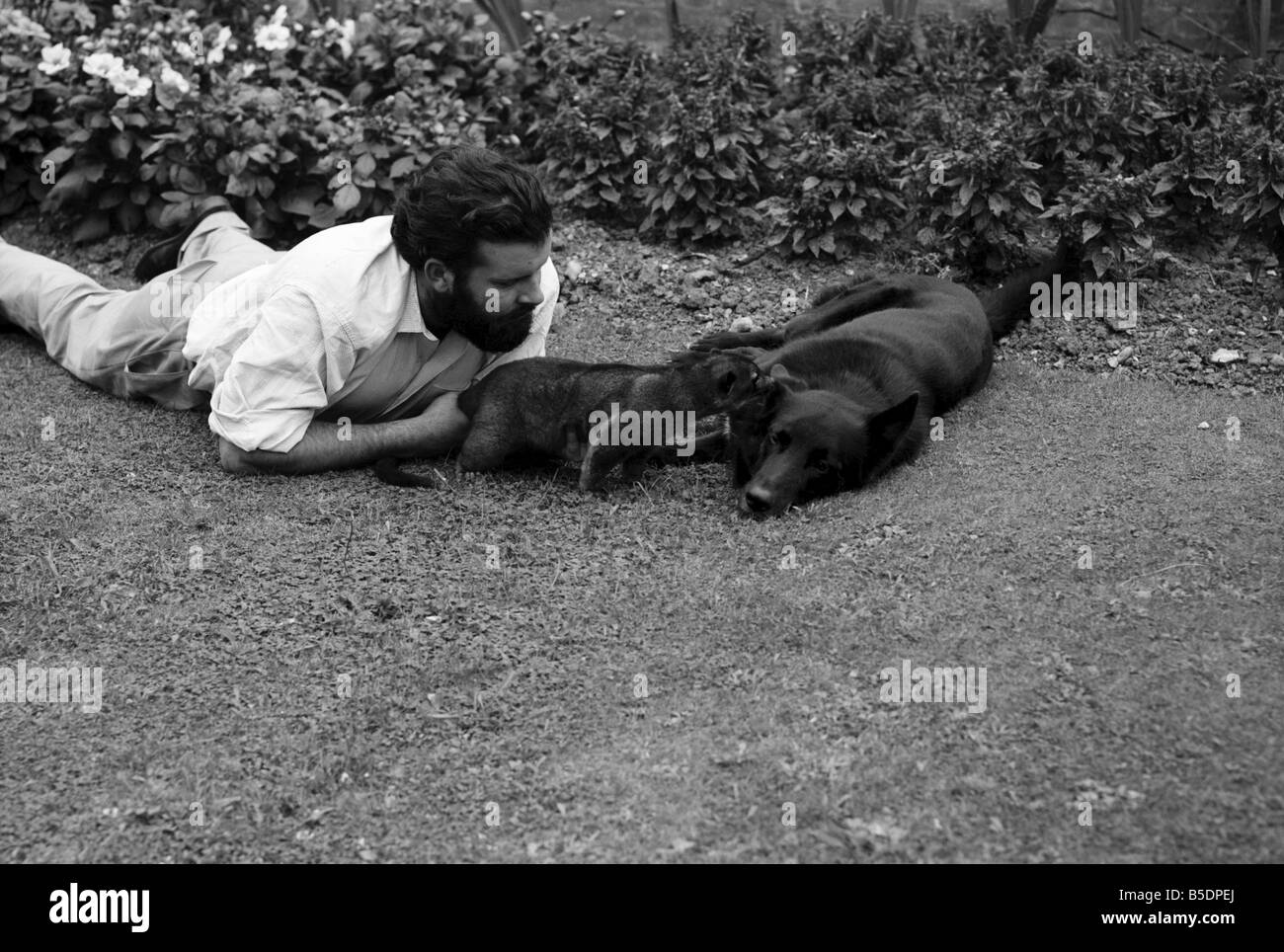 TV Zoologist Grahame Dangerfield. 1963 A978-002 Stock Photo - Alamy