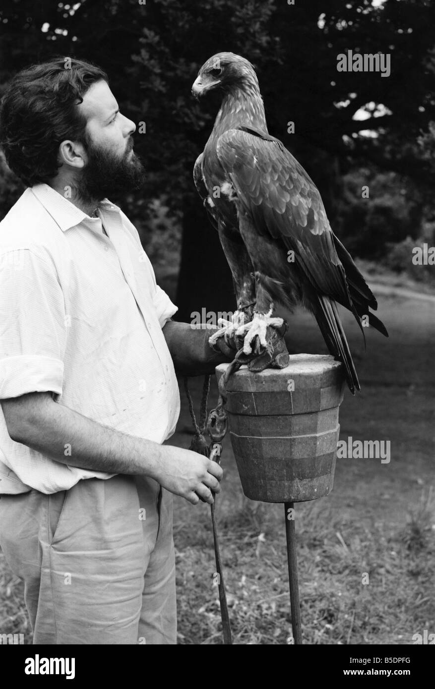 Grahame Dangerfield High Resolution Stock Photography and Images - Alamy