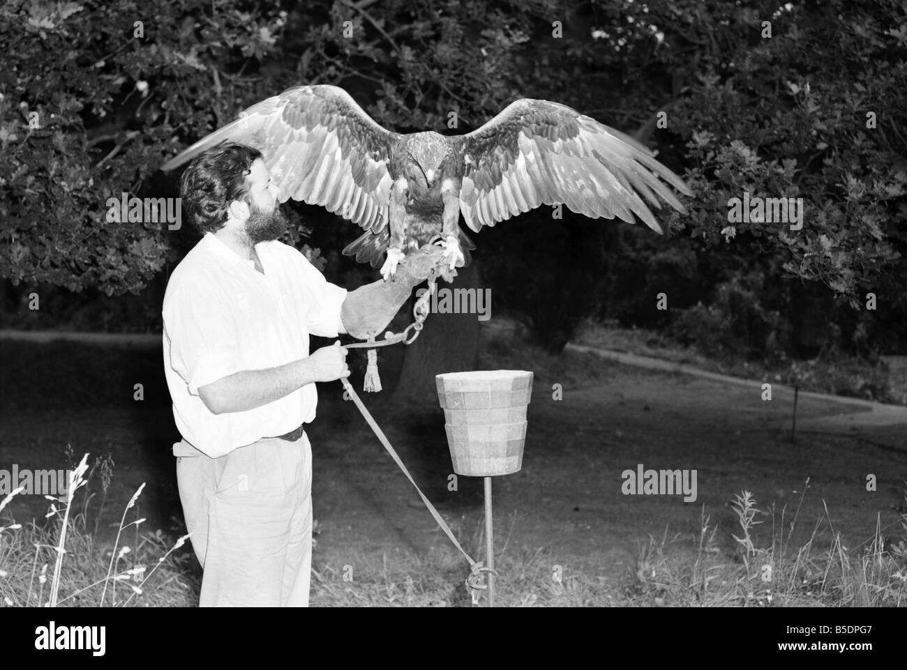 TV Zoologist Grahame Dangerfield. 1963 A978-009 Stock Photo - Alamy