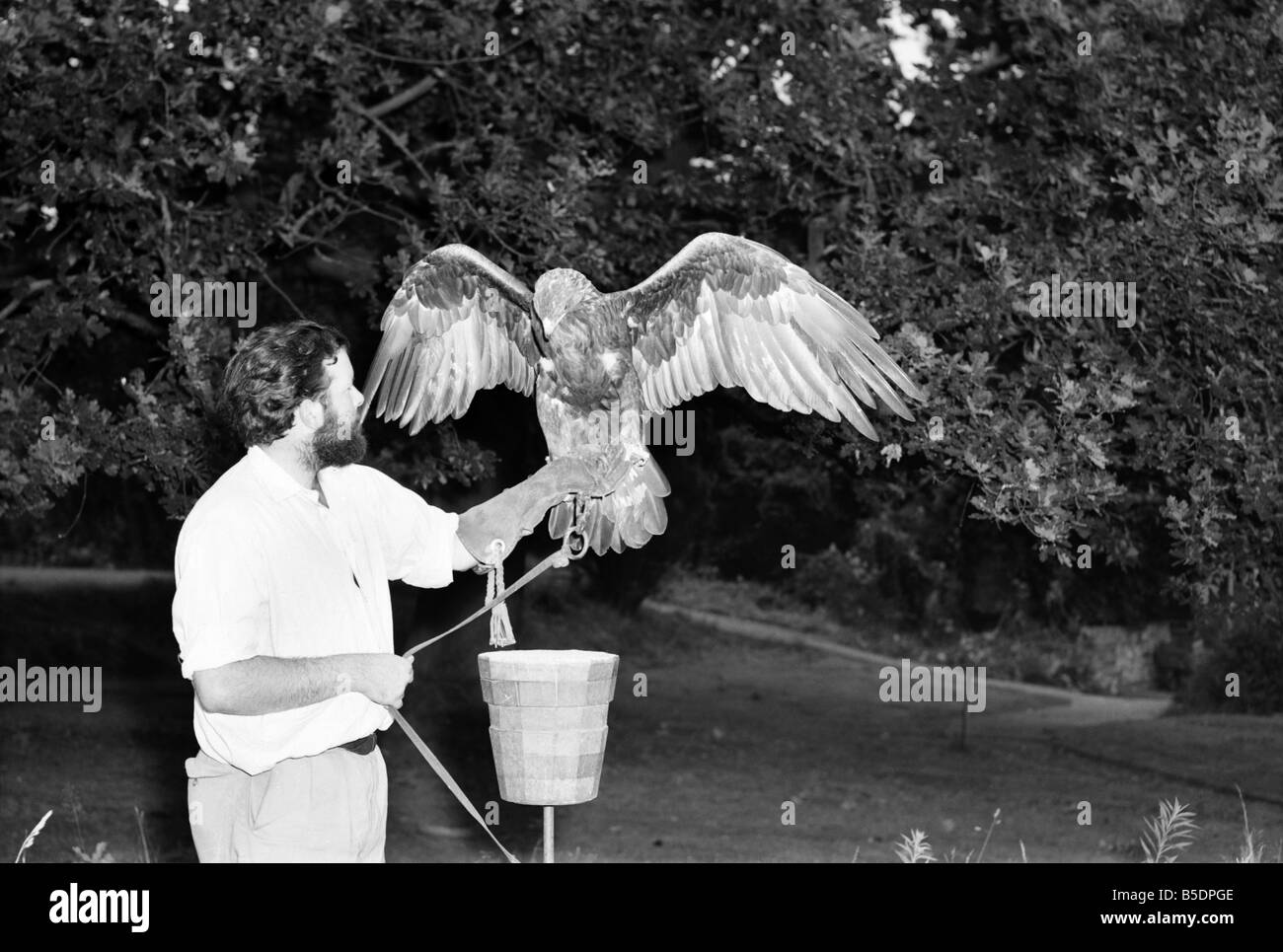 Grahame dangerfield hi-res stock photography and images - Alamy