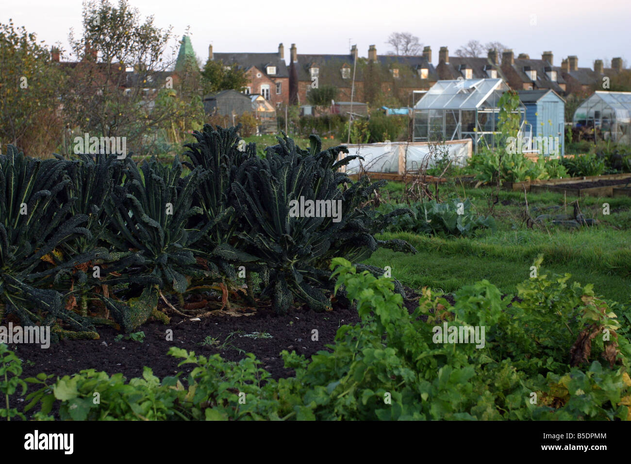 Allotment allotments urban city hi-res stock photography and images - Alamy