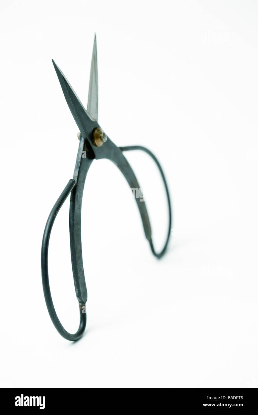 Root pruning hi-res stock photography and images - Alamy