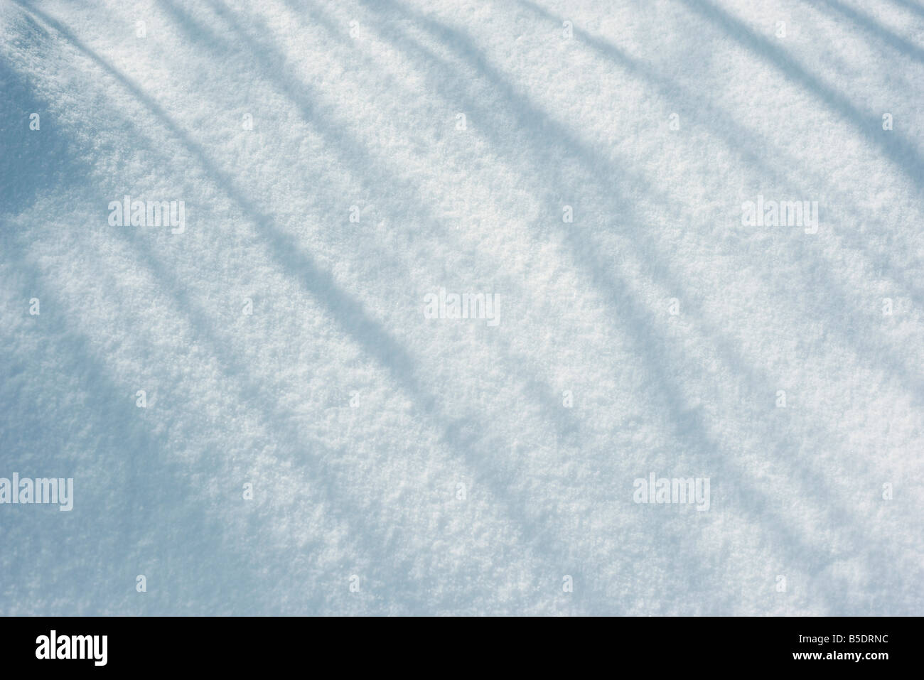 Shadows on snow Stock Photo - Alamy