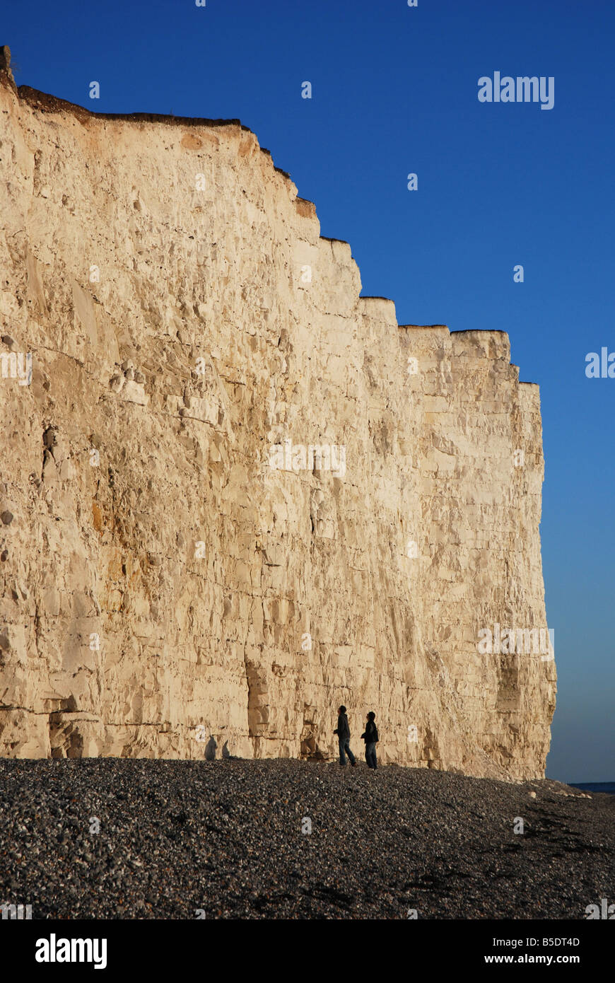 Very steep and dramatic chalky cliff edge at Birling Gap - where the ...