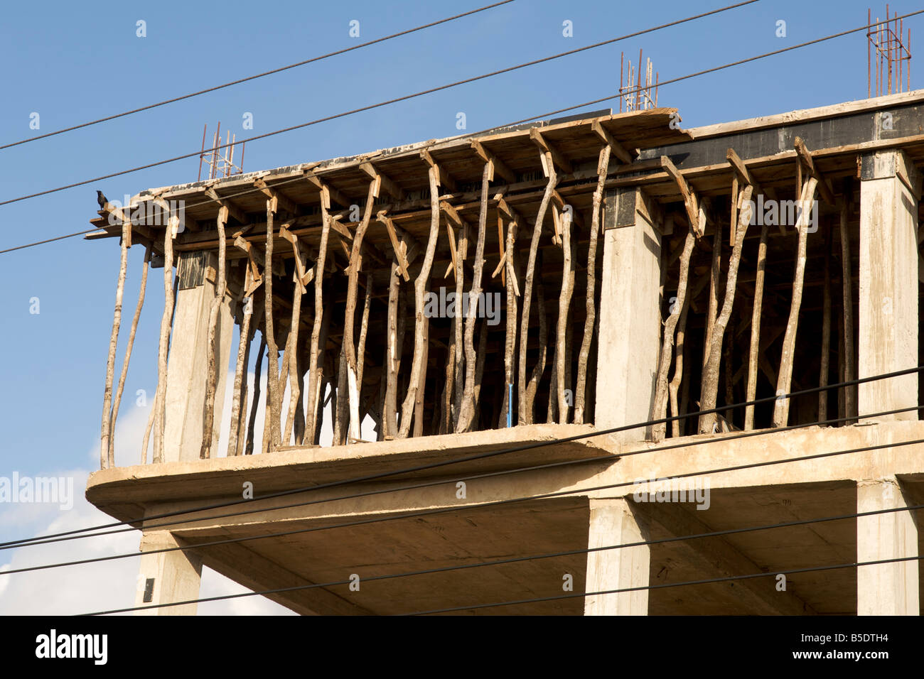 Wooden poles and tree branches used as support on a Dar es Salaam ...