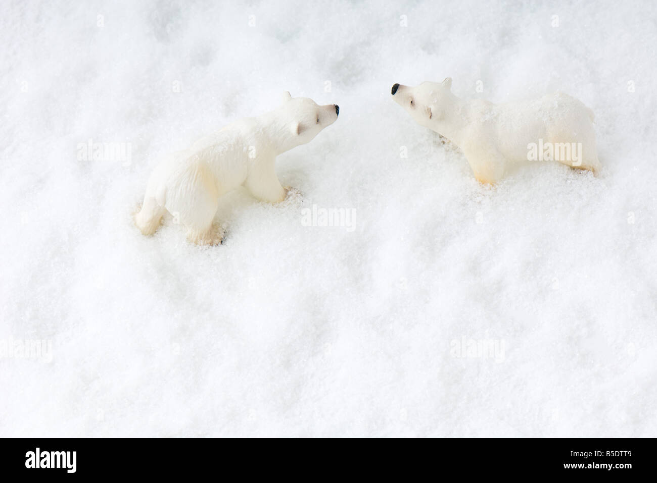 Toy polar bears in snow, overhead view Stock Photo - Alamy