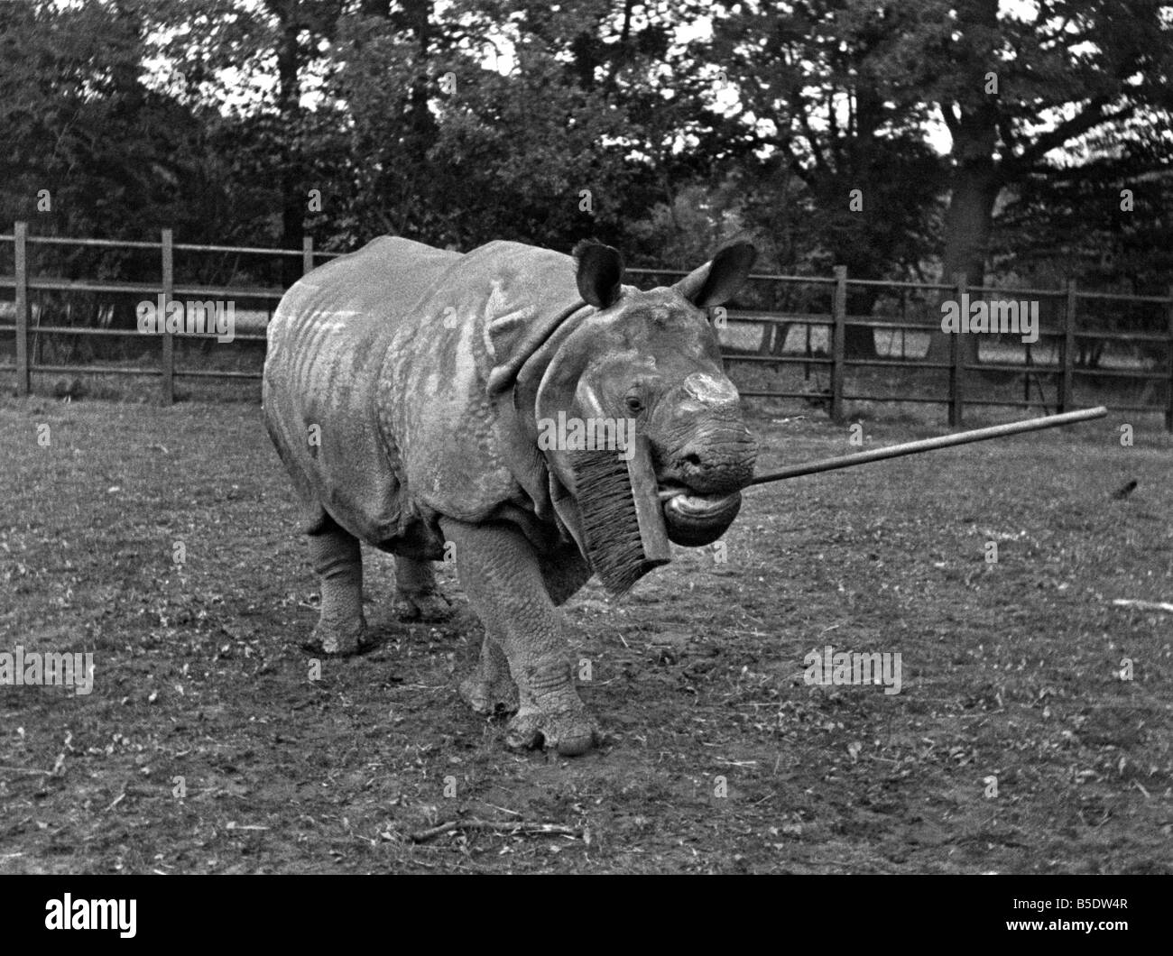 May mahon hi-res stock photography and images - Alamy