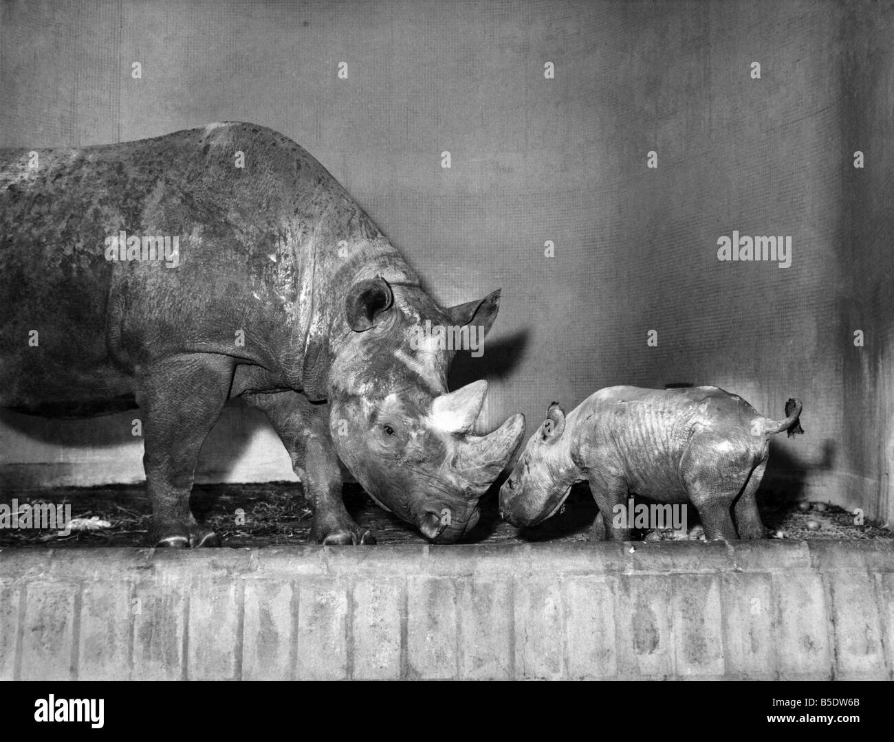 Baby Joanna takes a Bow: Making her first appearance before the camera ...