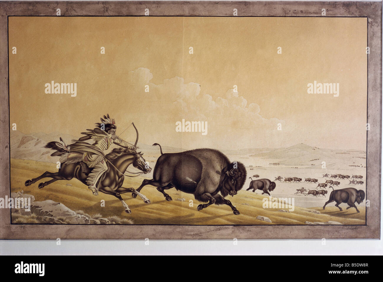 Bison hunting hi-res stock photography and images - Alamy