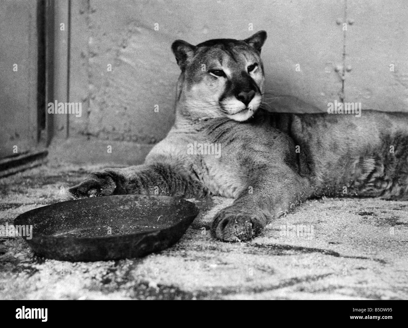 August 1935 Black and White Stock Photos & Images - Alamy