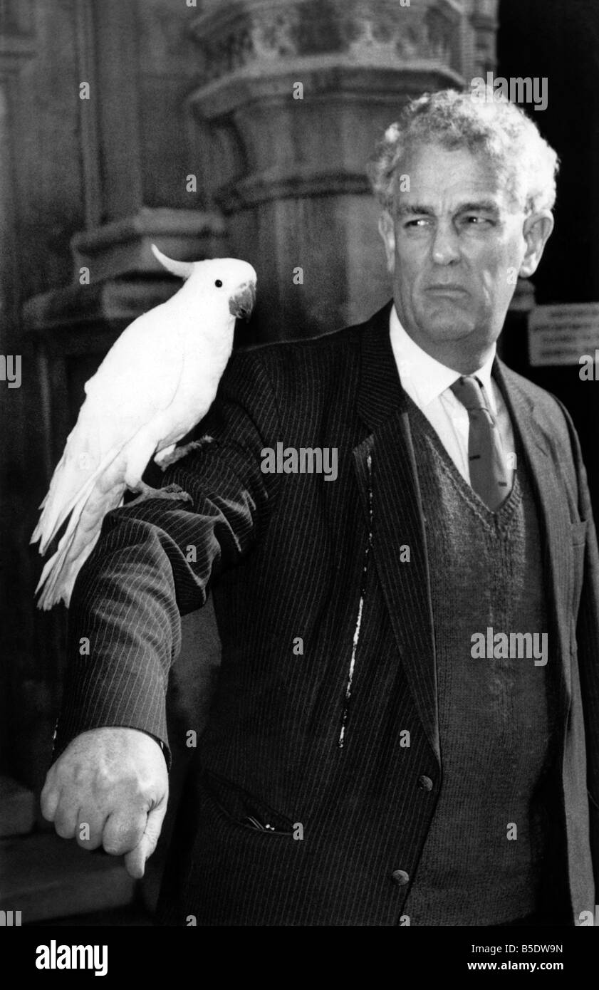 WhoÛs a Messy Polly? Crusading MP Tam Dalyell stretched out a hand to ...