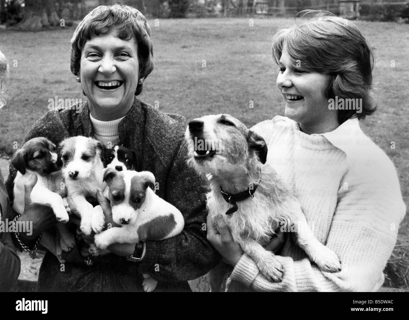 Chancellor's budget inflates the population. Budget, the dog owned by ...