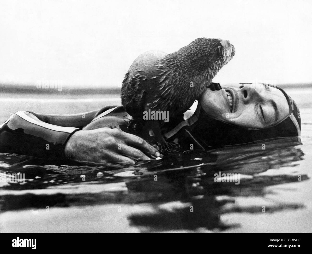 Having tired of his swimming lesson, George the otter has a rest on ...