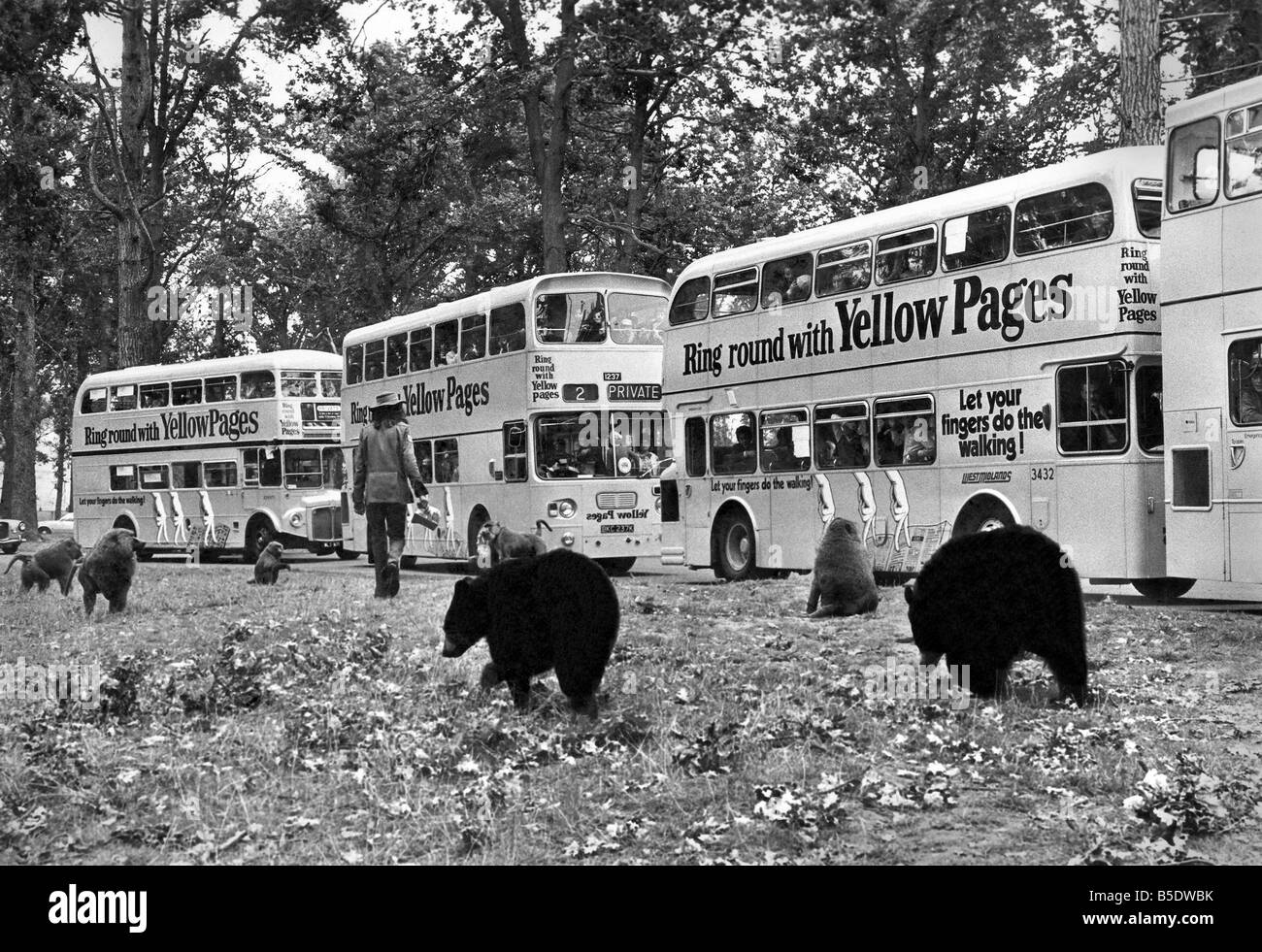 Windsor safari park hi-res stock photography and images - Alamy