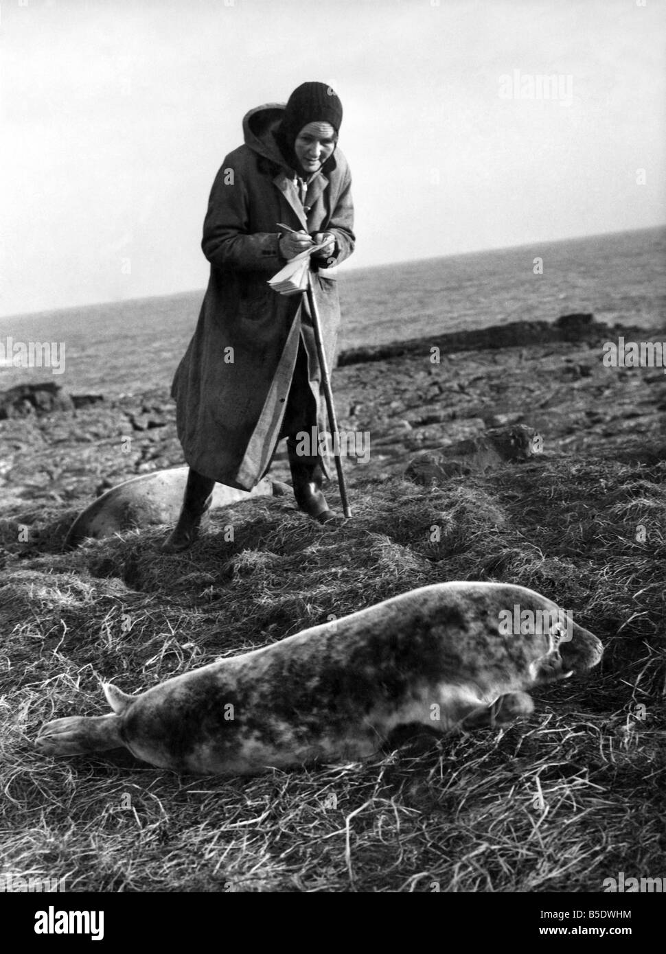 People hunting hi-res stock photography and images - Alamy