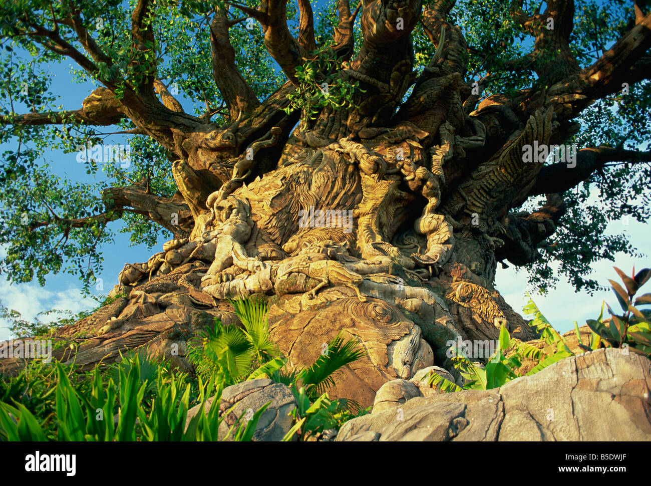 The Tree of Life, Animal Kingdom, Disneyworld, Orlando, Florida, USA ...