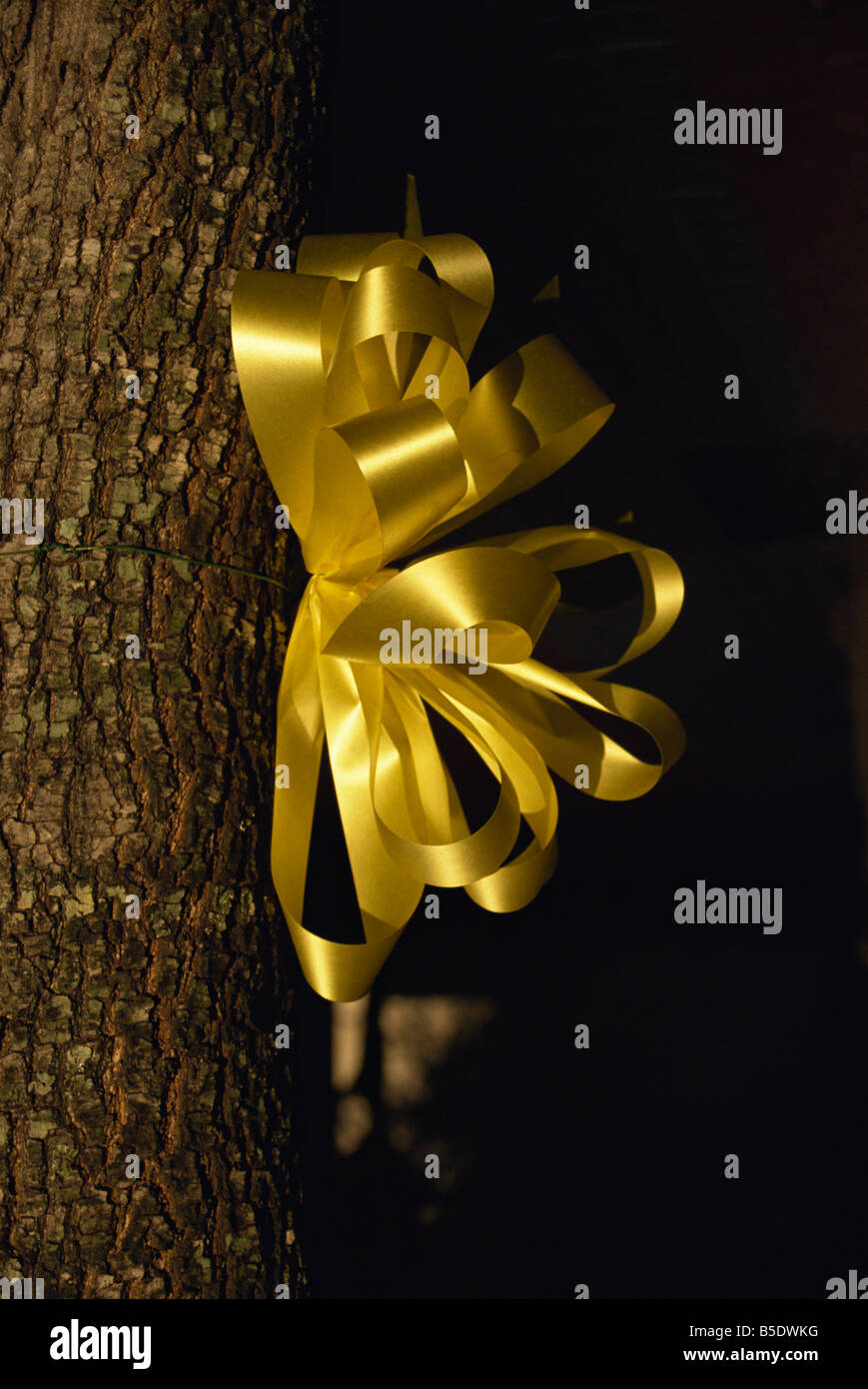 The yellow ribbon hi-res stock photography and images - Alamy