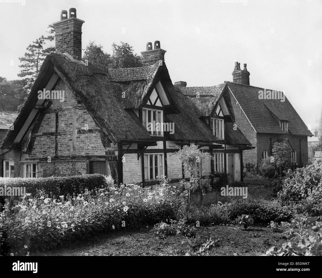 Houses: Cottages: Thatched. A farm lands cottage. September 1955 ...
