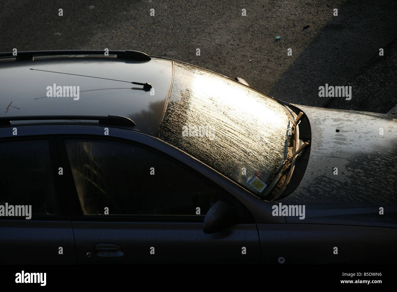 car window covered with dew in morning sun in street Stock Photo - Alamy