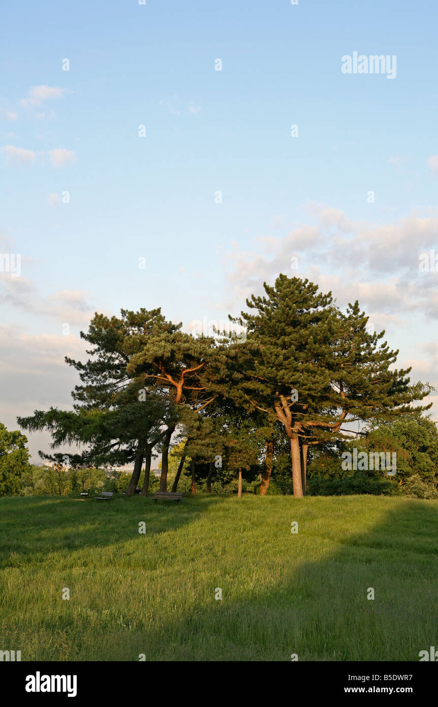 Hampstead Heath, North London, England, UK, Europe Stock Photo - Alamy