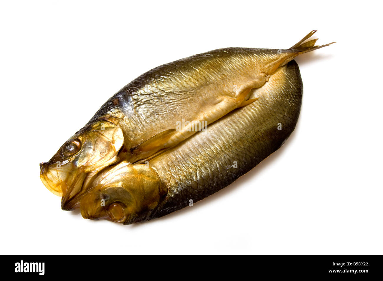 traditional smoked kippers isolated on a white studio background Stock ...