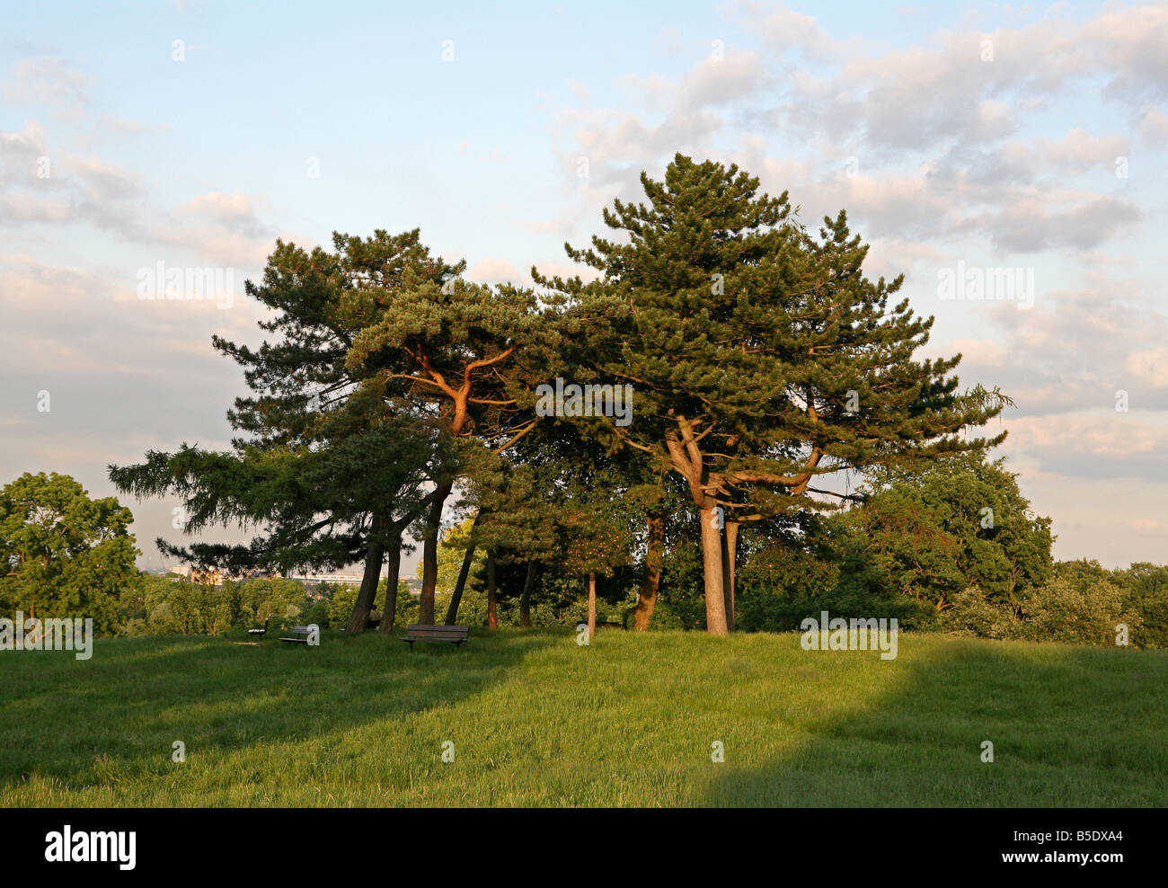 Hampstead Heath, North London, England, UK, Europe Stock Photo - Alamy