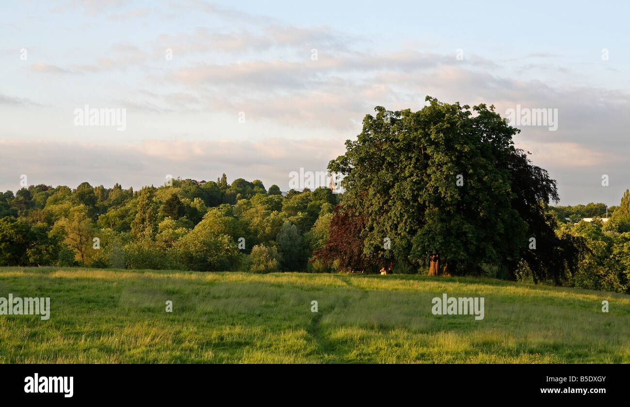 Hampstead Heath, North London, England, UK, Europe Stock Photo - Alamy