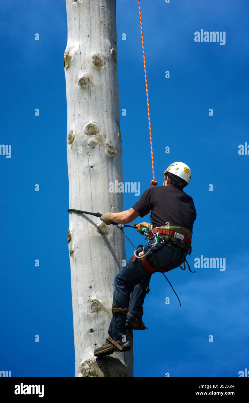 Pole tree trunk rope sport climbing safety helmet harness hi-res stock ...