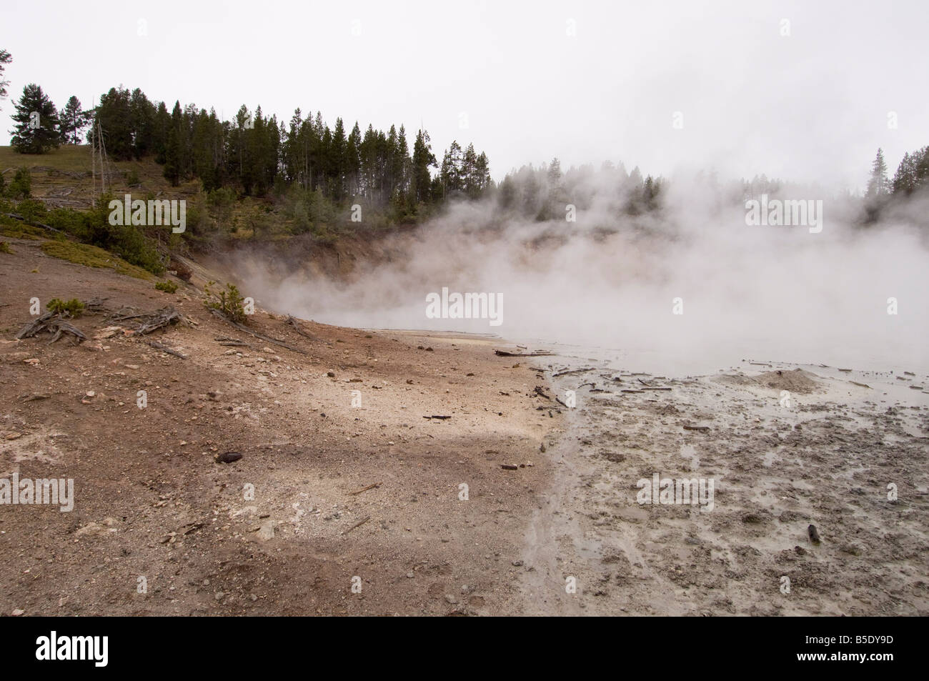 Mud Volcano Area, Yellowstone National Park, UNESCO World Heritage Site ...