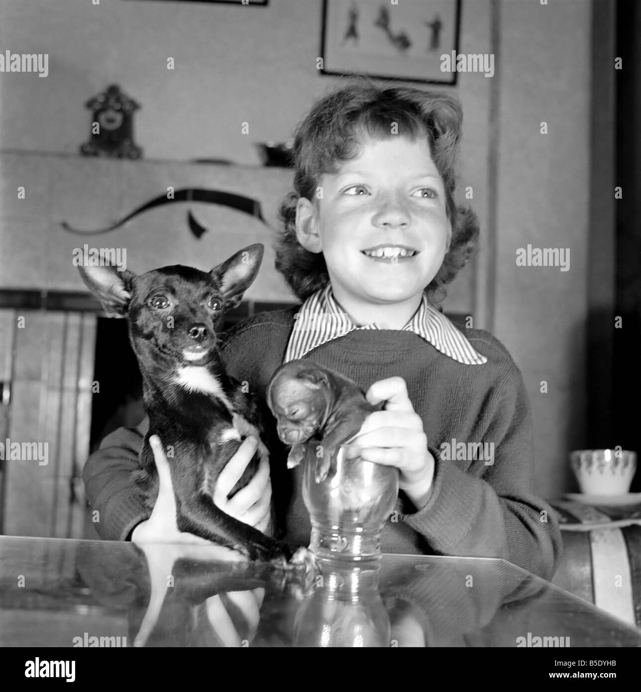 Little girl and pup: Educating Archie to sit in a glass is ten-year-old ...