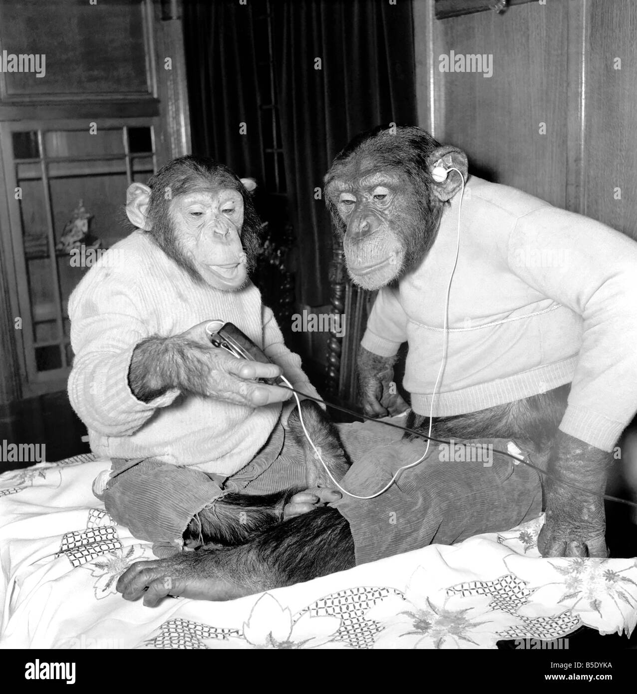 Chipperfields circus Black and White Stock Photos & Images - Alamy