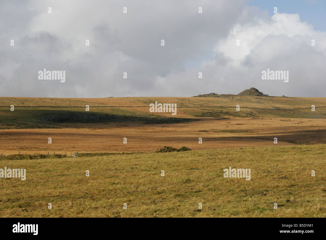 Dartmoor moors and tors Devon Stock Photo - Alamy